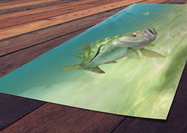 Snook Art Print Fishing Gift Fly Fishing Snook Fish - Etsy