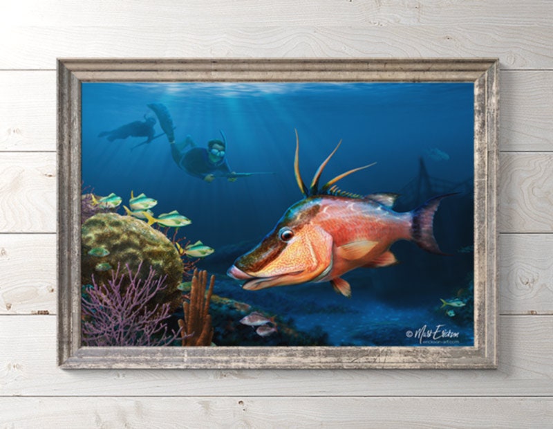 Hog Snapper Art Print Fish Art Spearfishing Décor Fishing Gift, Hogfish ...