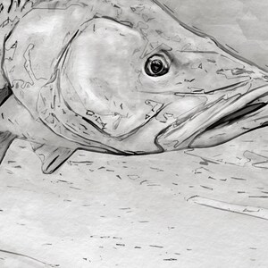 Snook Art Sketch Print - a Great Snook Fisherman Gift - Etsy