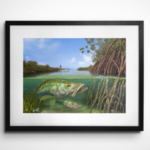 Snook Art Print Gift for Snook Fisherman. A Florida Snook Stalks a ...