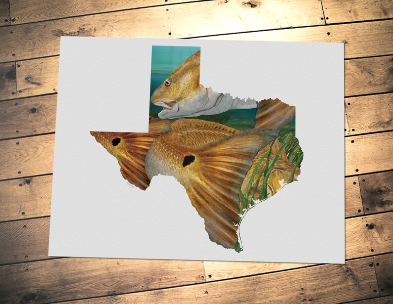 Redfish Art Print on Texas Map Wall Art for a Texas Redfish Fisherman ...