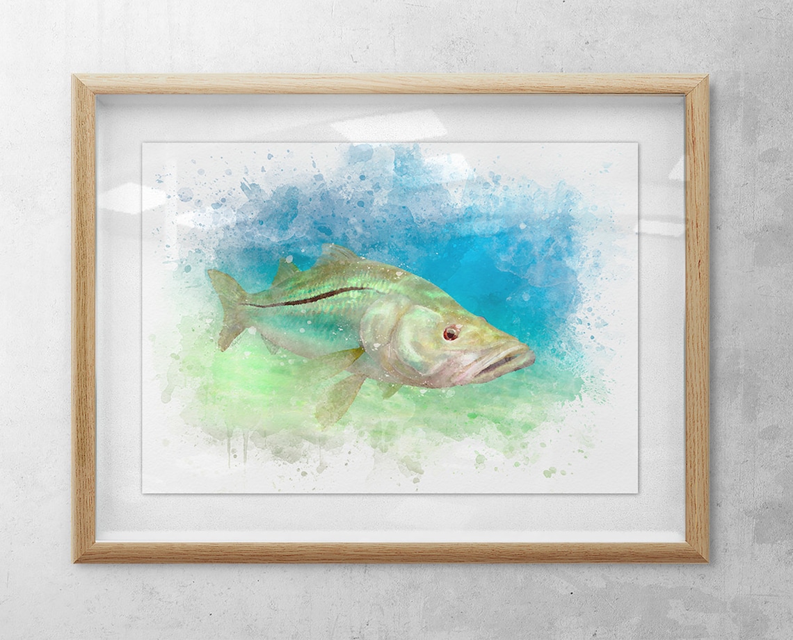 Snook Art Print Watercolor Style Wall Decor a Great Snook - Etsy