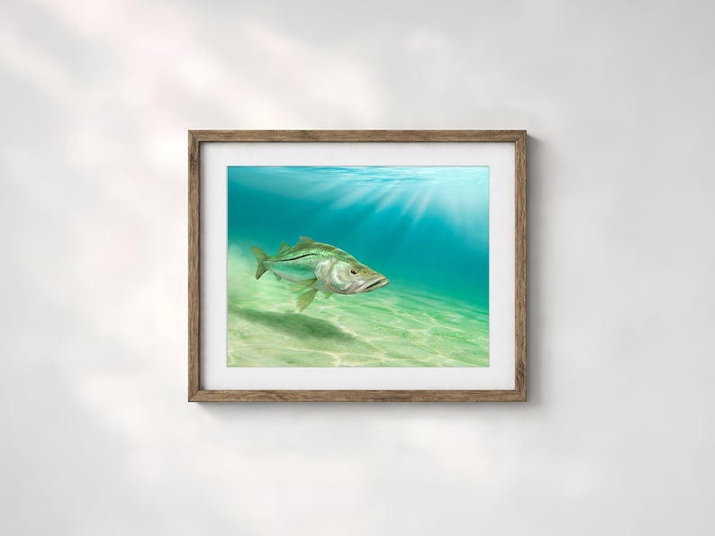 Snook Wall Art Print Fishing Gifts for a Saltwater Fisherman Gift ...