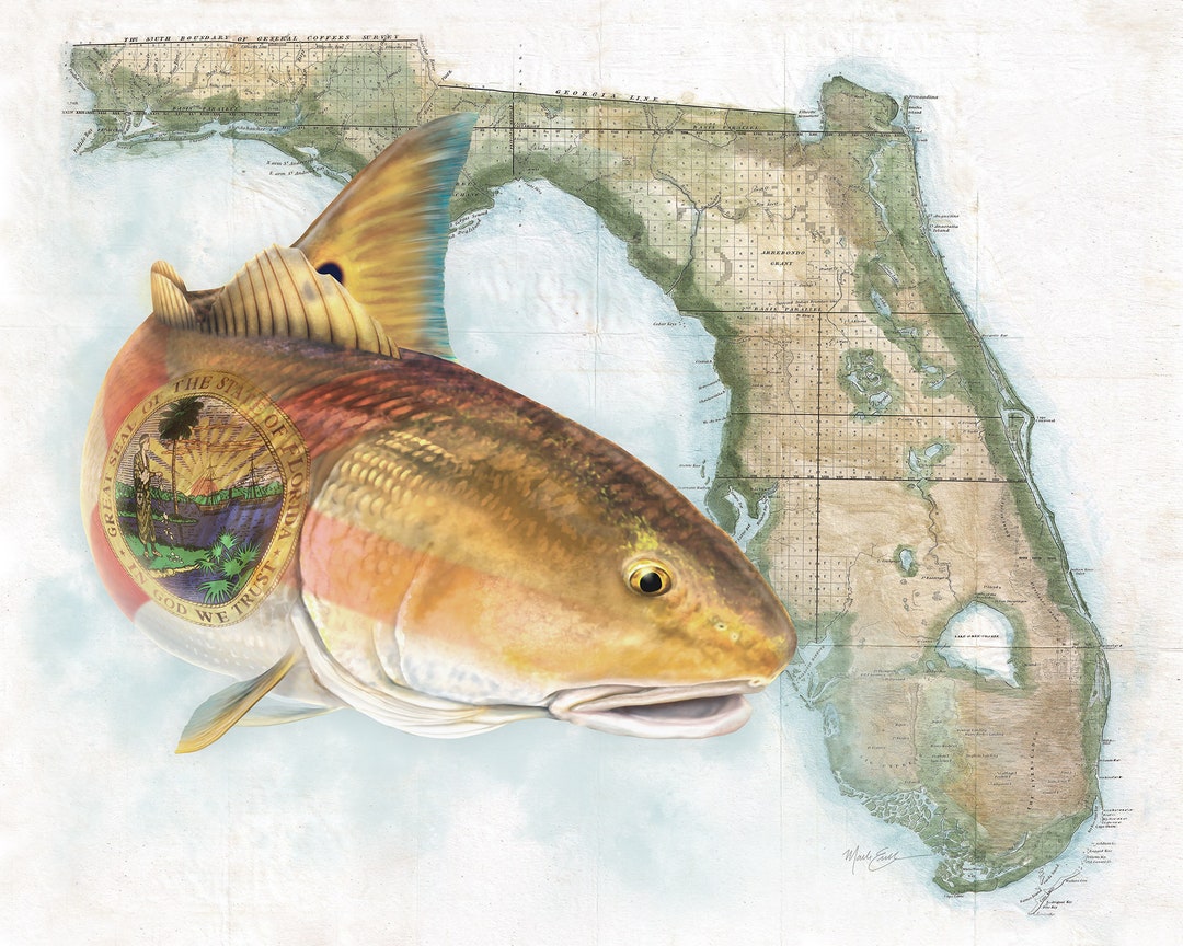 Bull Redfish Wallpaper