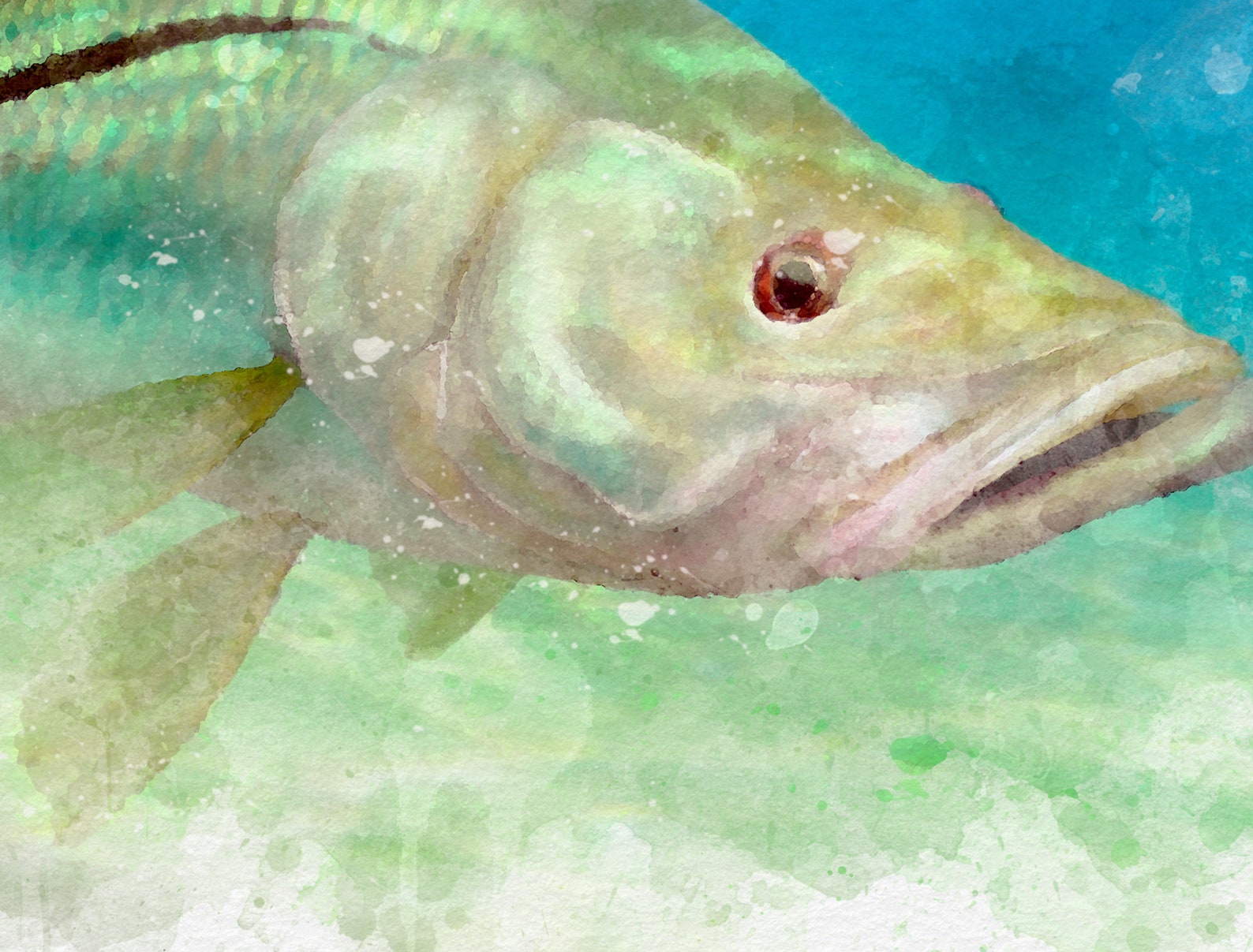 Snook Art Print Watercolor Style Wall Decor a Great Snook Fisherman ...