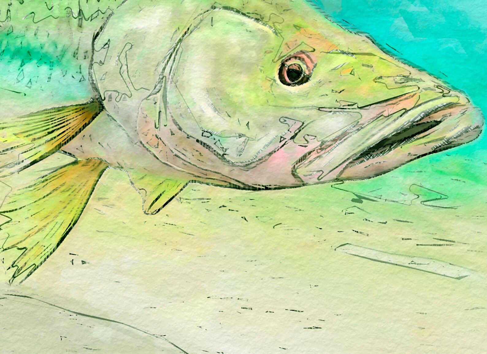 Snook Art Print in Magic Marker Style - a Great Snook Fisherman ...