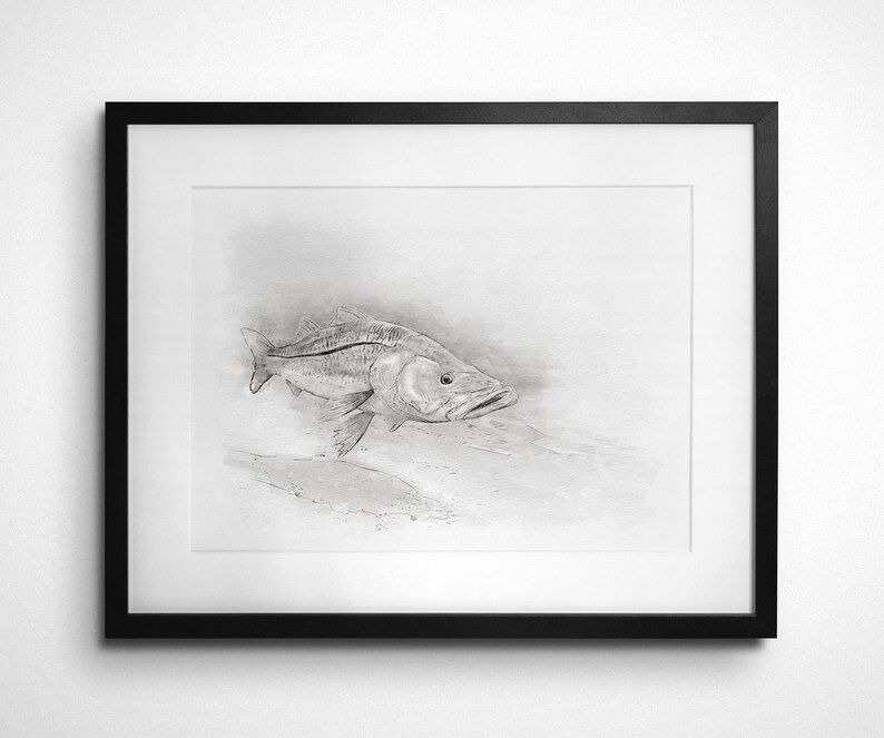 Snook Art Sketch Print a Great Snook Fisherman Gift - Etsy