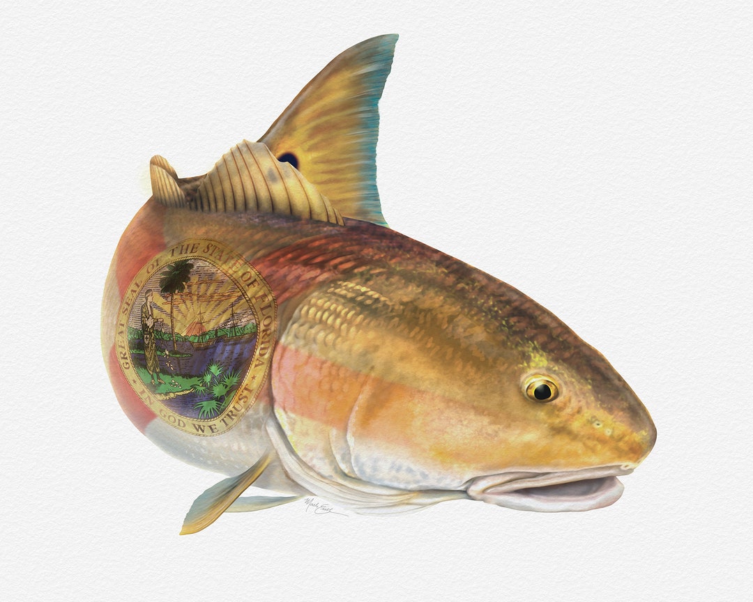 Redfish Art Print Redfish Florida Flag Florida Fishing Gift - Etsy