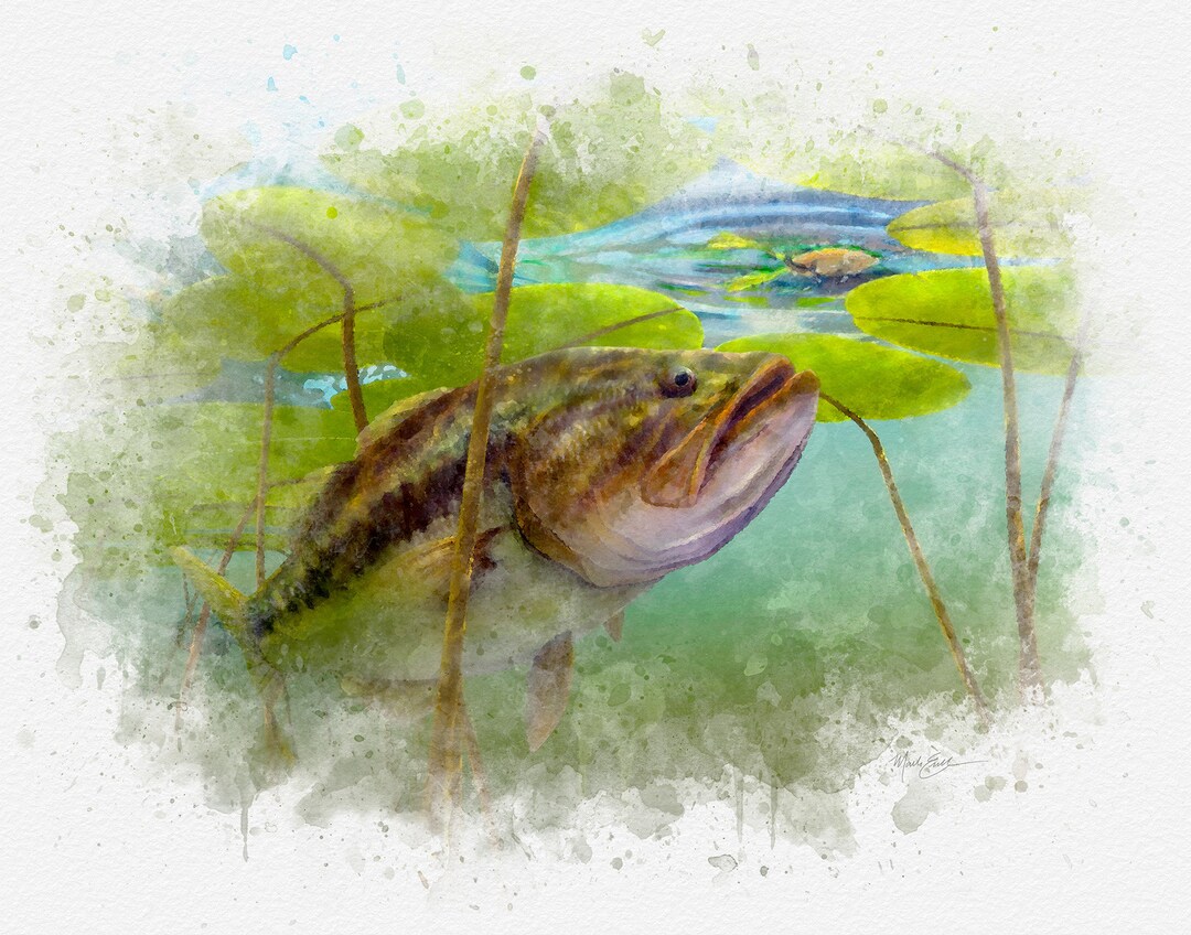 Bass Fishing Art Print, Largemouth Bass on a Topwater Frog, Watercolor ...