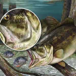 Bass Art Print, Largemouth Bass Fishing Gift, Bass Fisherman Gift ...