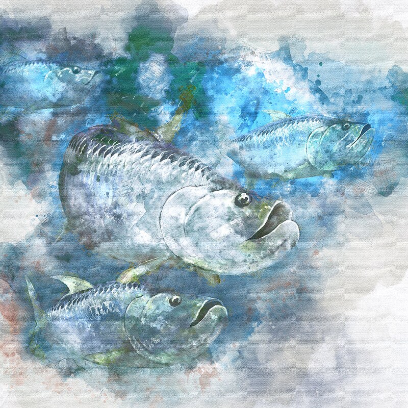 Tarpon Fish - Etsy
