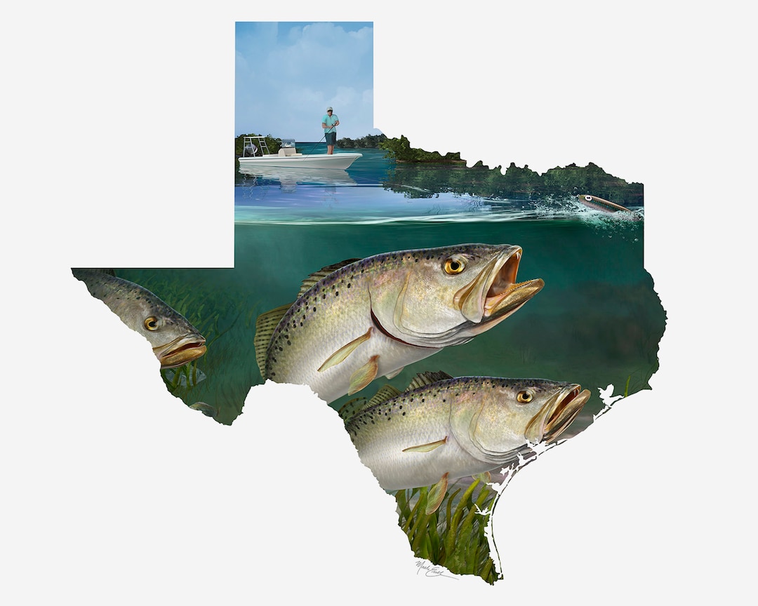 Trout Art Print on Texas Map Wall Decor Gift for a Texas Speckled Trout ...