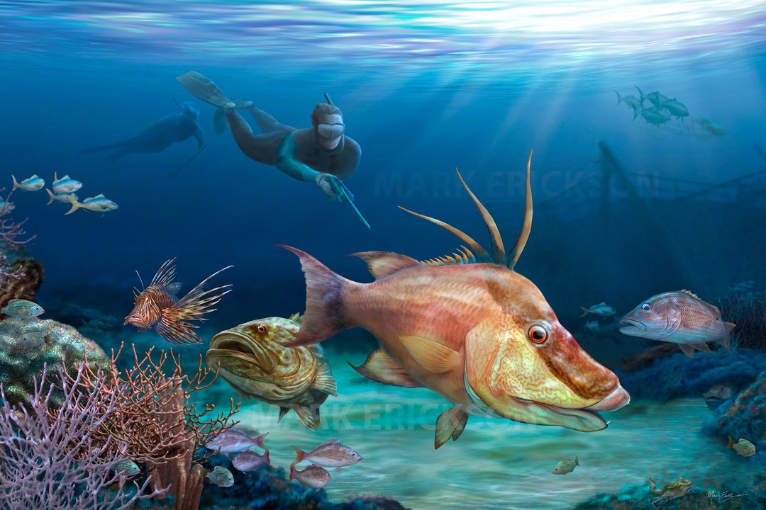 Hogfish Spearfishing Art Print Gift for a Spearfisherman, Wide Format ...