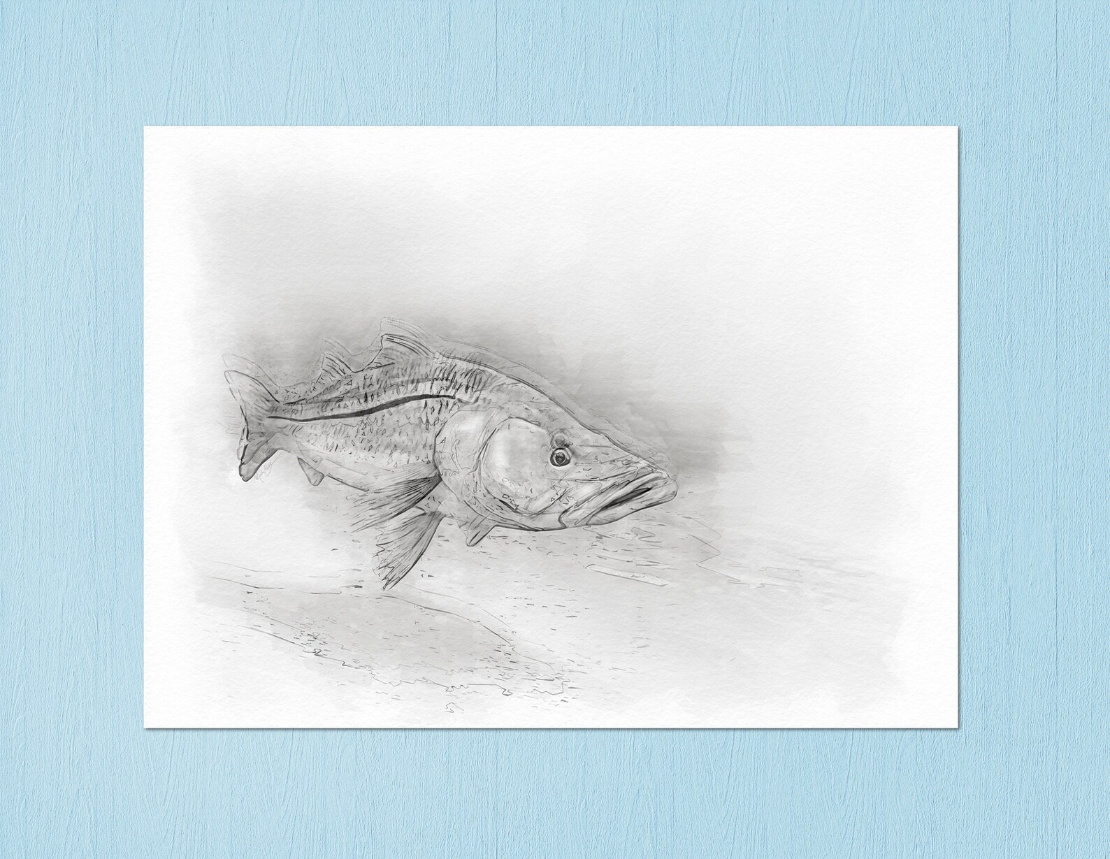 Snook Art Sketch Print a Great Snook Fisherman Gift - Etsy