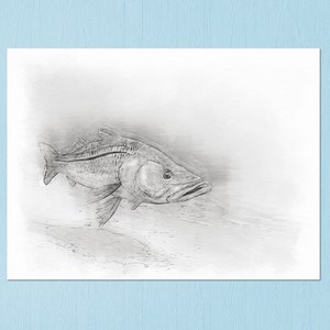 Snook Art Sketch Print - a Great Snook Fisherman Gift - Etsy