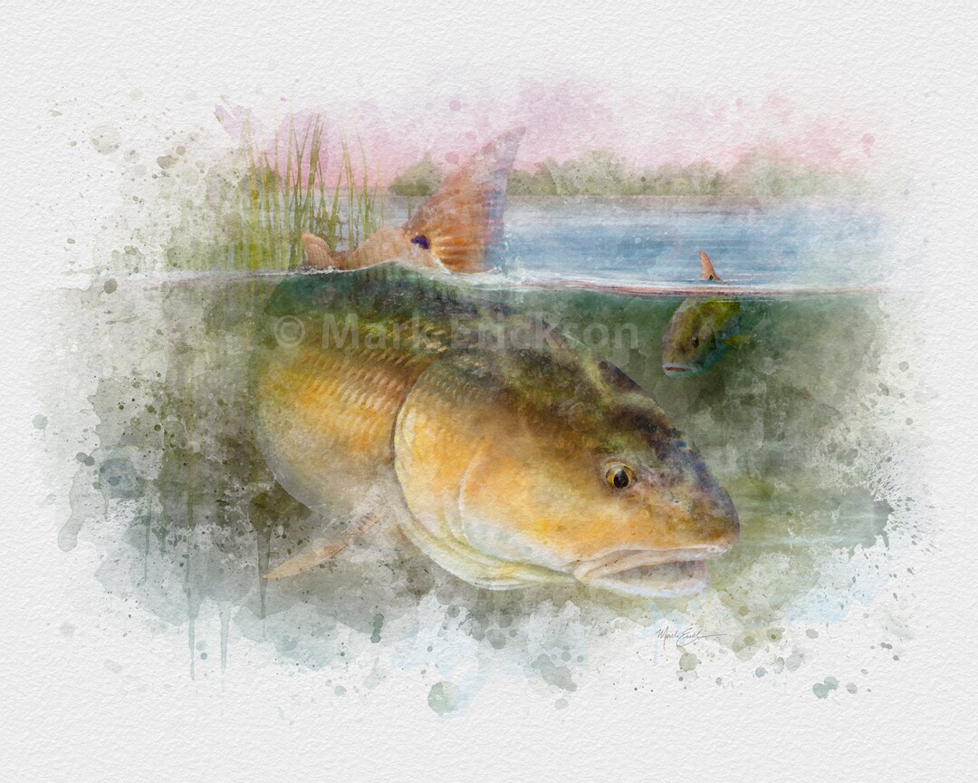 Redfish in the Reeds Watercolor Style Art Print | Red Drum Fishing Gift ...