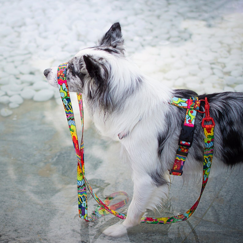 Funny Adjustable Dog Harness Personalized Guard Harness Soft - Etsy