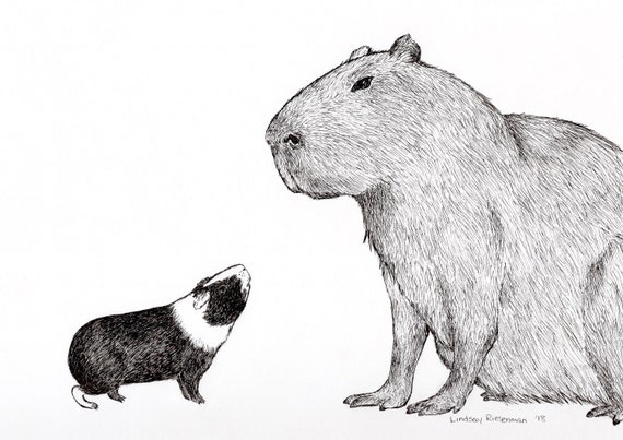 Capybara and Guinea Pig Print | Etsy