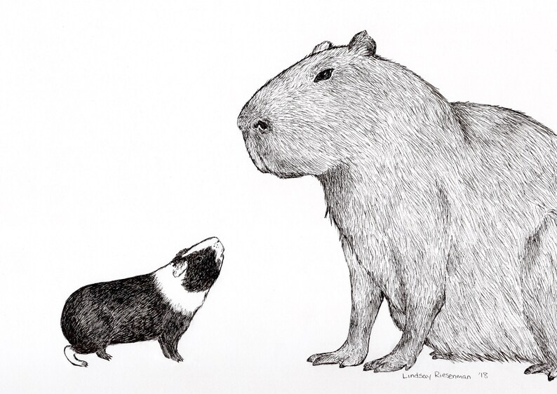 Capybara and Guinea Pig Print - Etsy