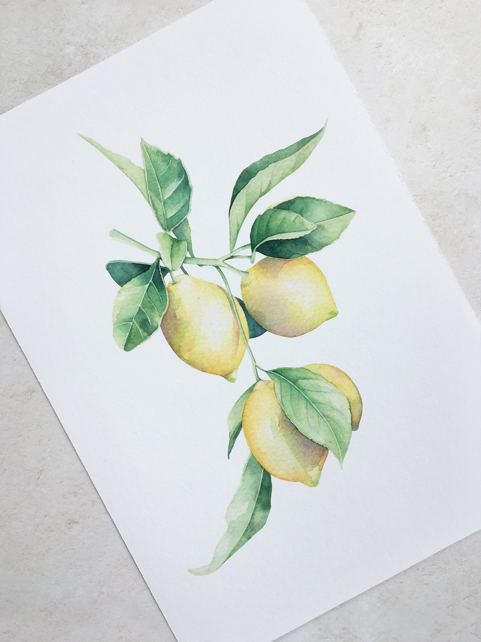 Zitronen A4 Aquarell Druck - Obst Illustration Gemälde - Wand Giclée ...
