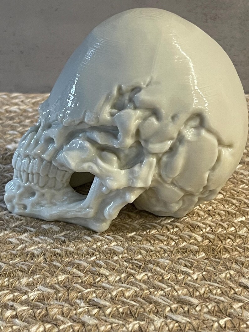 3D Printed Human Skull, Scary Stylized - Etsy
