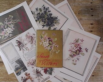 Sweet violets | Etsy