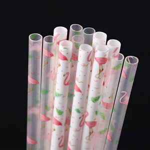 Reusable Plastic Straws, 10.25 Inches, BPA Free Drinking Straw Set ...
