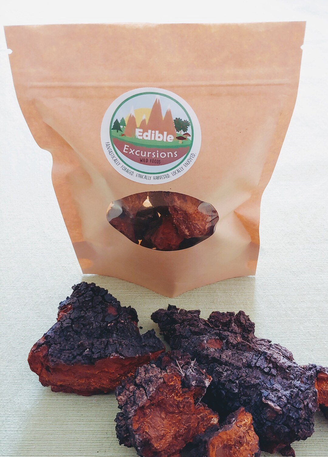 All Natural Wild Foraged Chaga Chunks From New Hampshire & Maine ...