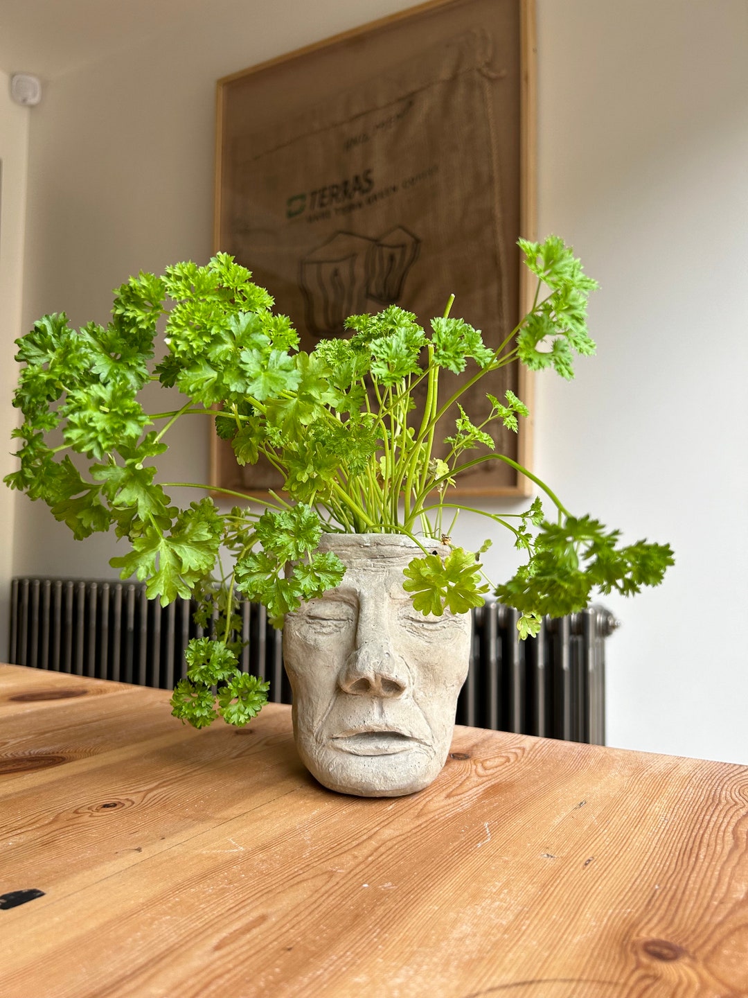 Concrete Head Shaped Plant Face Pot for Plant Hair Indoor and Outdoor ...