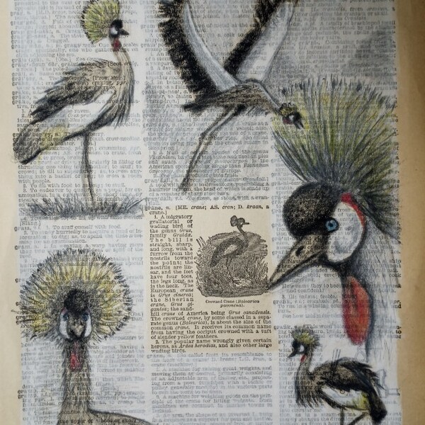 Dictionary Drawing - Etsy