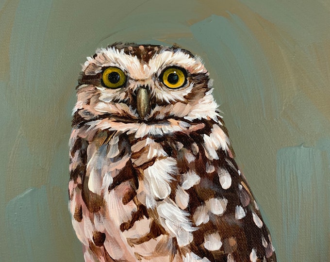 Herman, Burrowing Owl, Limited Edition Print - Etsy
