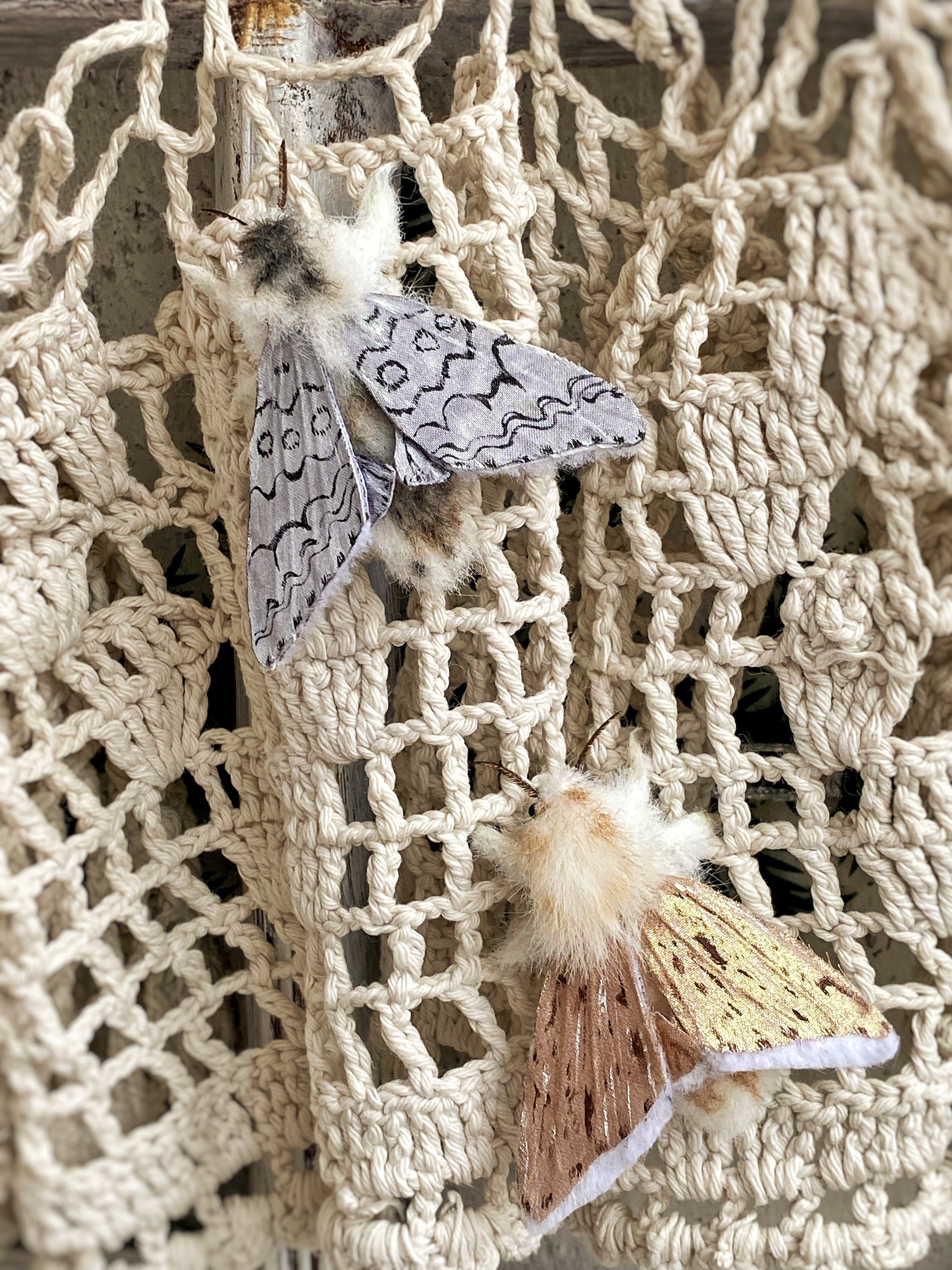 Moth Brooch - Weird Bug Pin - Handmade Insect Jewelry - Gothic Creepy ...