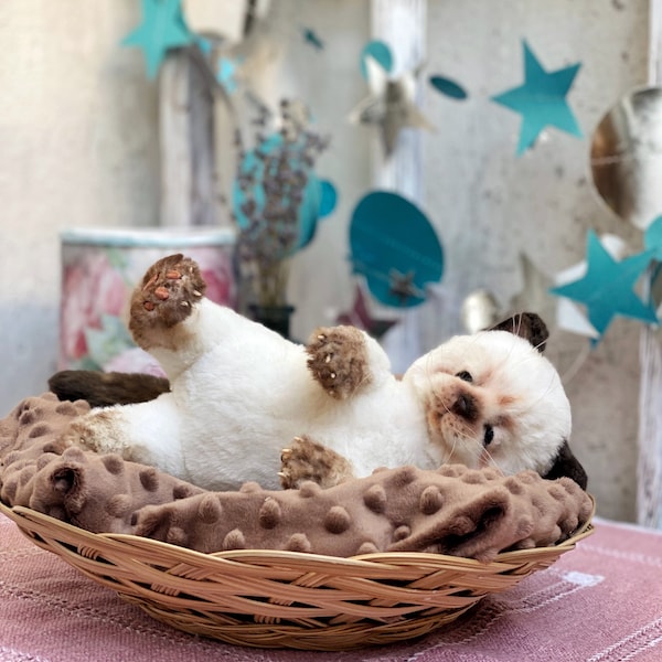 Realistic Cat Squishy - Etsy