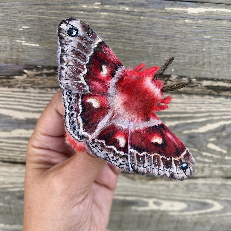 Moth Plush - Etsy