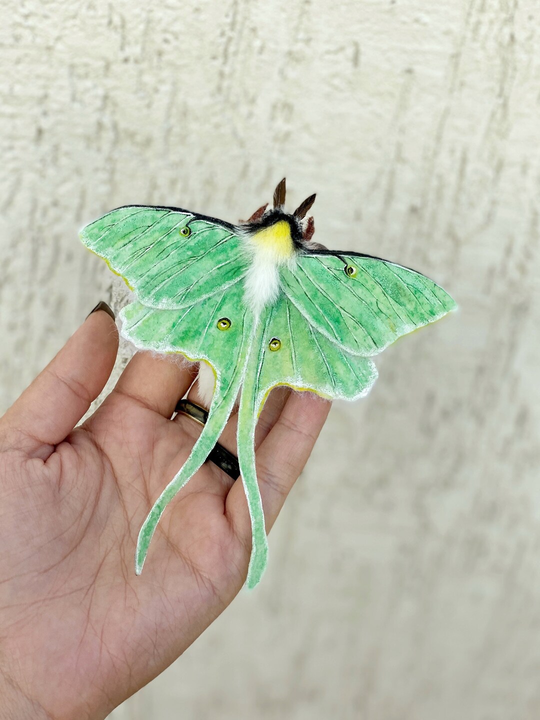 Handmade Moth, Luna Moth, Actias Luna, Moon Moth, Lime Moth, Brooch ...