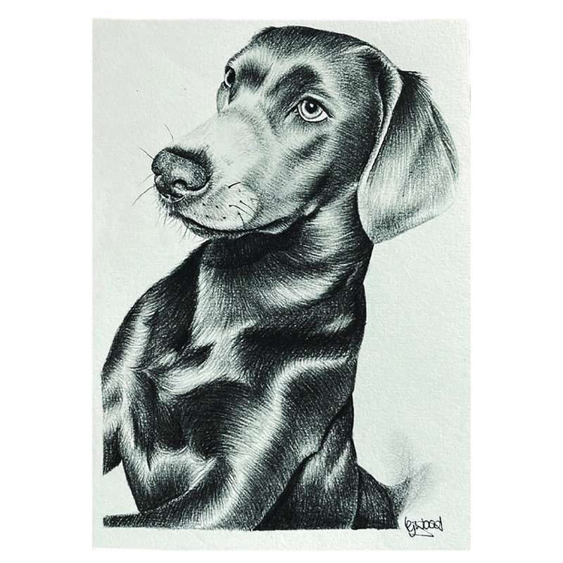 Portrait Drawing - Etsy