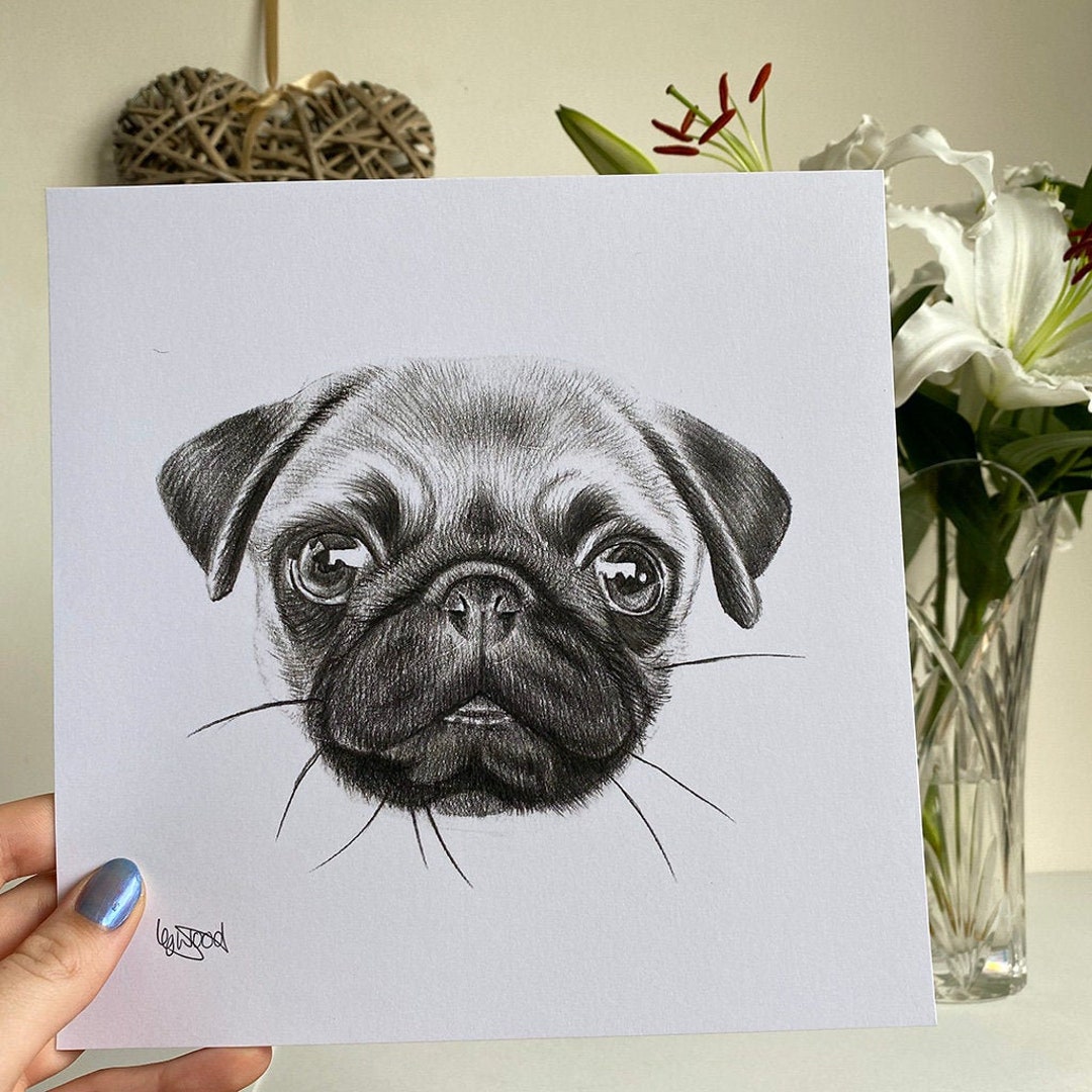 Pug Drawing Print - Etsy