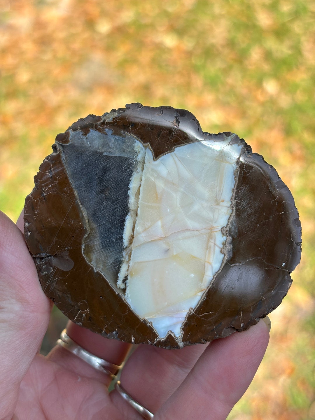 Unique, Two Toned, Polished Thunder Egg - Etsy