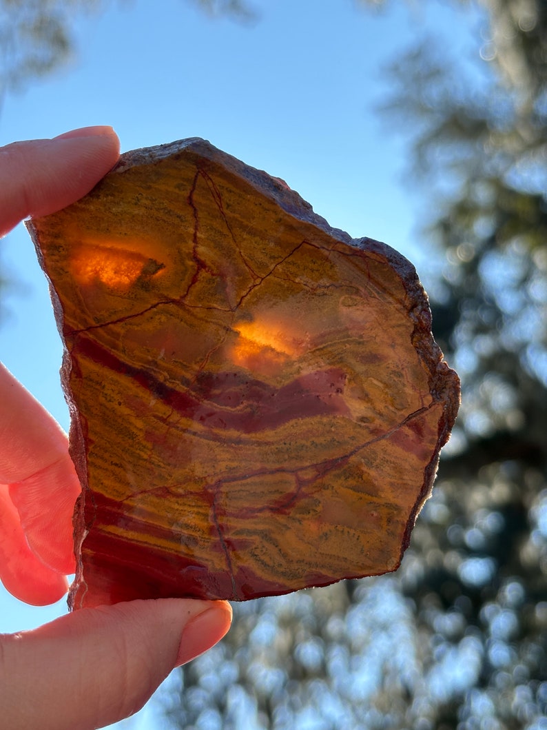 Brecciated Jasper Agate Slab - Etsy