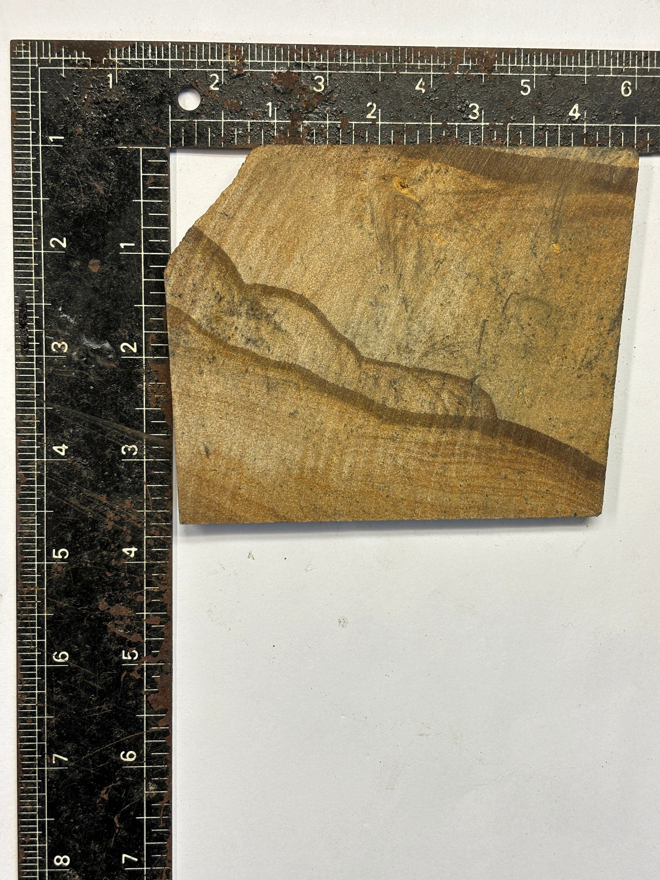 Picture Sandstone Slab - Etsy