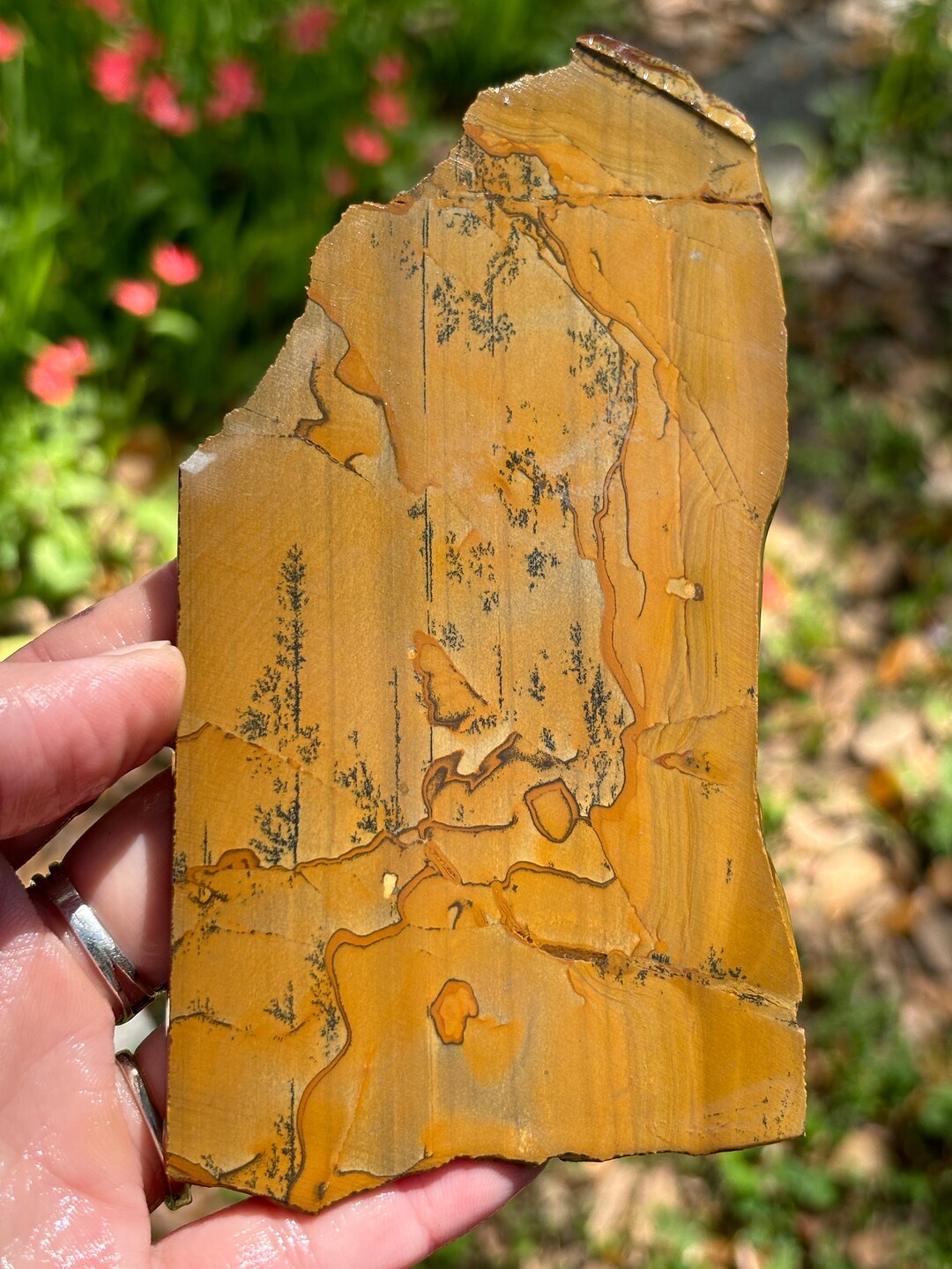 Beautiful Deschutes Picture Jasper Slab - Etsy