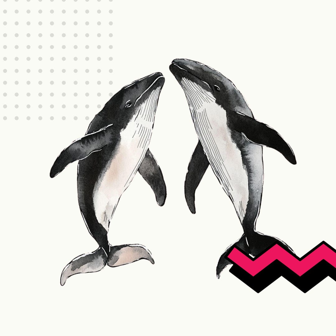 Whale Couple Png, Watercolor Whale Clipart, Valentines Day Couples Png ...