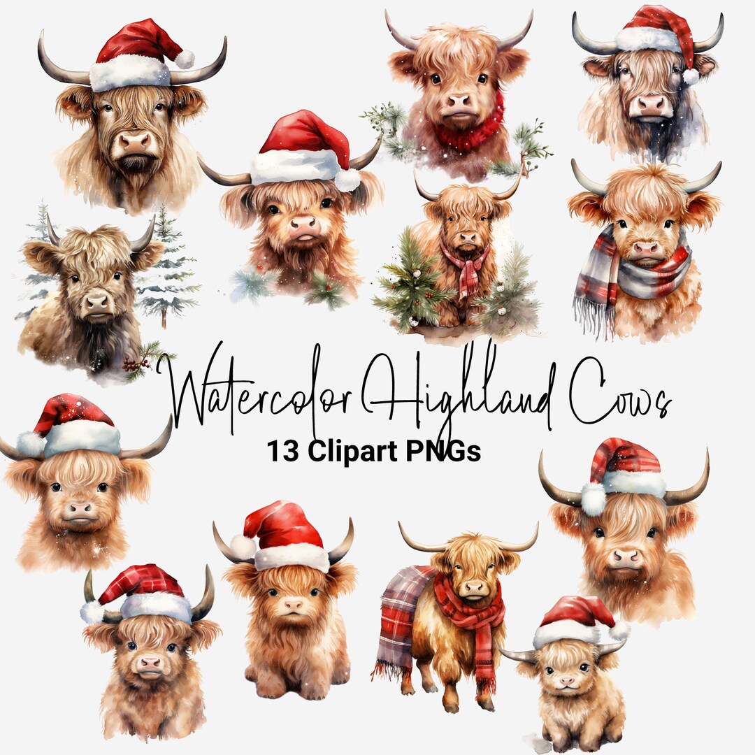 Watercolor Christmas Highland Cows Clipart Bundle, Baby Highland Cows ...