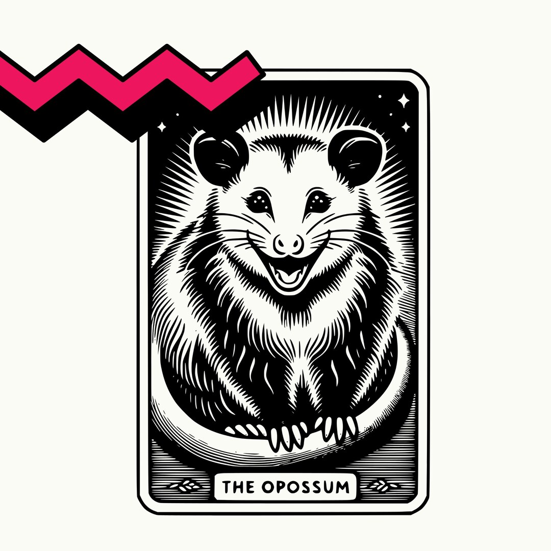 The Opossum Tarot Card, Possum Tarot Card, Opossum PNG, Opossum Lover ...