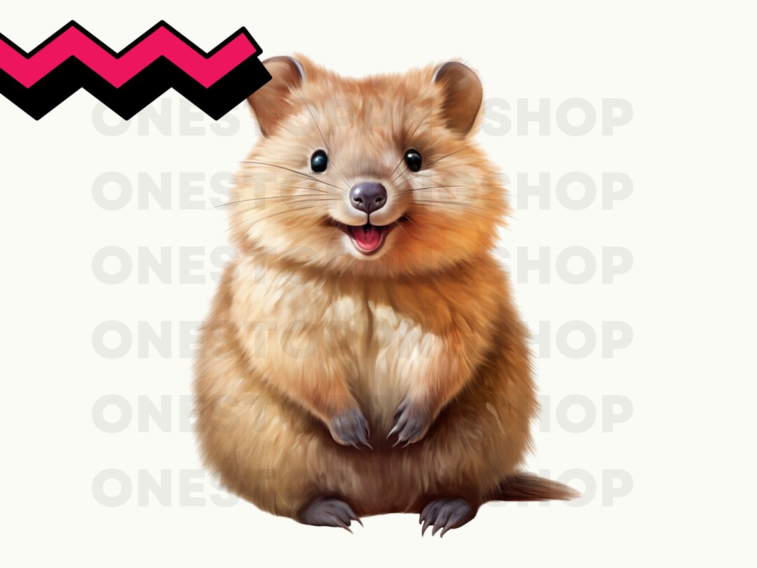 Quokka Clipart, Watercolor Quokka Clip Art, Quokka Png, Cute Quokka ...