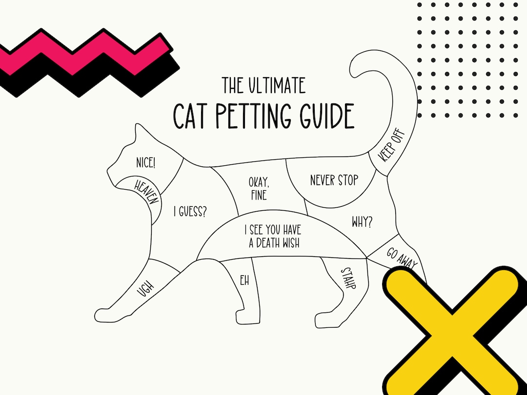 Cat Petting Guide PNG, Cat Petting Guide Svg, Cat PNG, Funny Cat Shirt ...