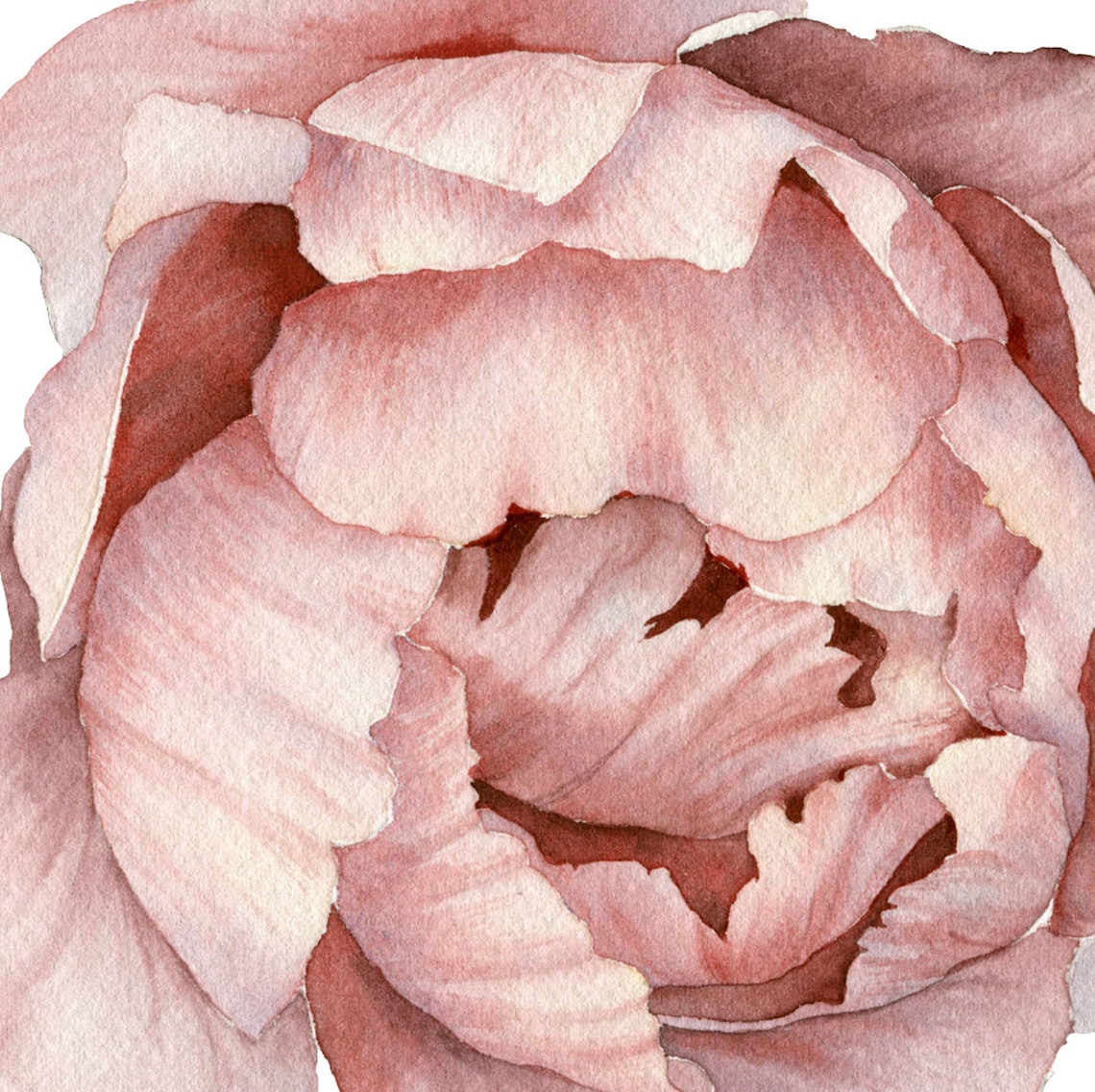 Peony Blossoms Wall Mural Bohemian Vintage Watercolor Flowers Blush ...