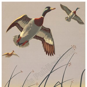 Game Bird Hunting in Canada Vintage Poster - Etsy