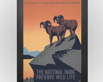 Bighorn Sheep Poster - Etsy