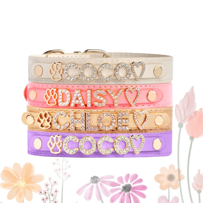 Fancy Dog Collar - Etsy